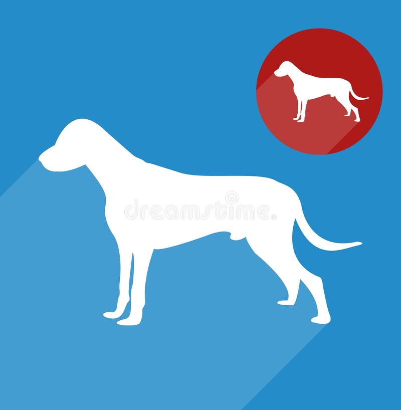 Dog, hound long shadow stock vector. Illustration of bovine - 295569327