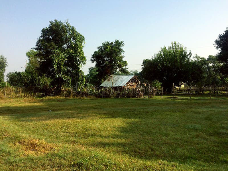 Dog Hut in Green Field in Forest India Stock Photo - Image of hill ...