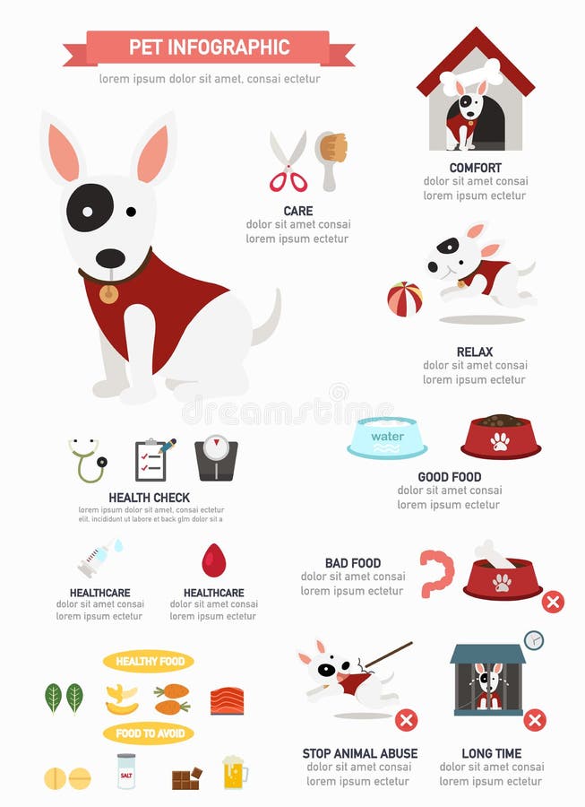 Dog infographic,vector stock vector. Illustration of icon - 70839846