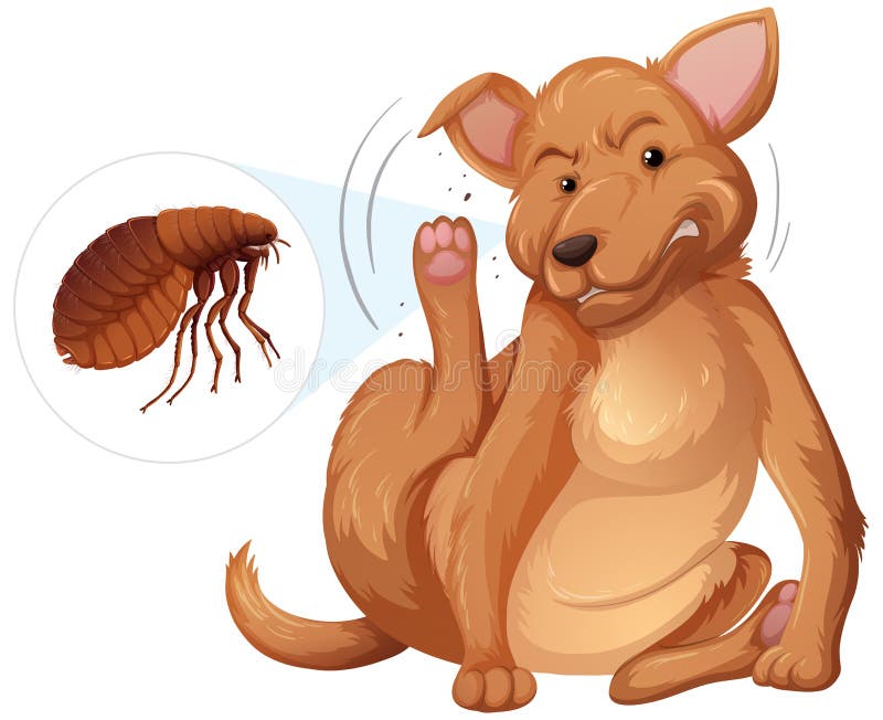Dog Itching Stock Illustrations – 74 Dog Itching Stock Illustrations ... Dog Itching Stock Illustrations – 74 Dog Itching Stock Illustrations ...