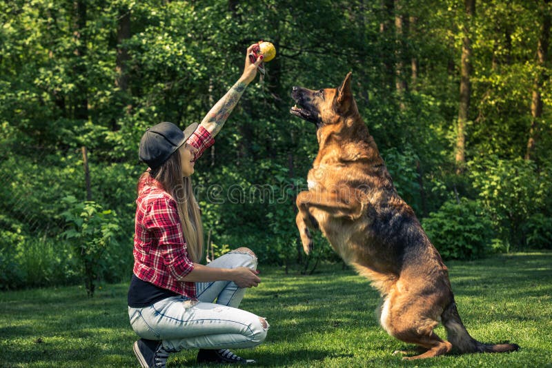 Dog Jump for Ball, Friendship with Owner Stock Photo - Image of real ...