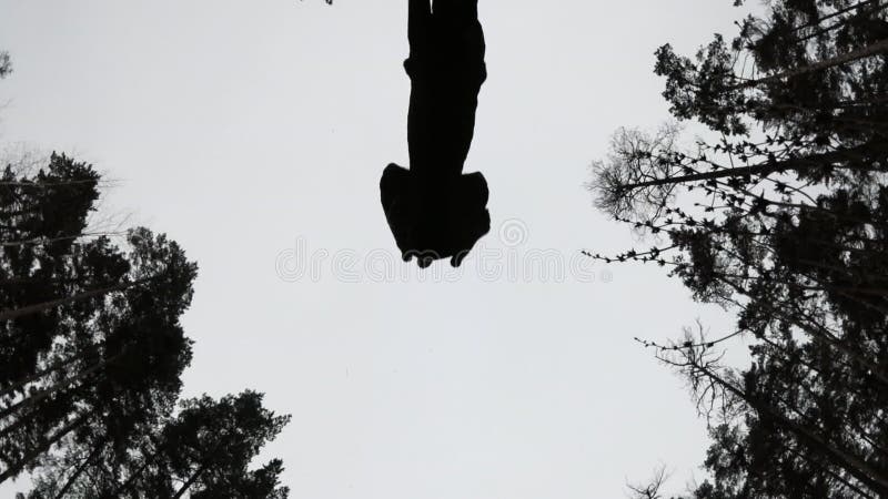 Dog is Jumping Over the Camera, View from Below Stock Footage - Video ...