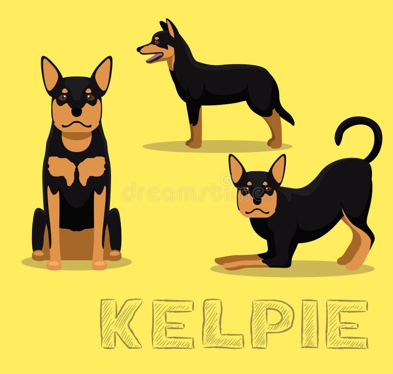 Dog Kelpie Cartoon Vector Illustration Stock Vector - Illustration of ...