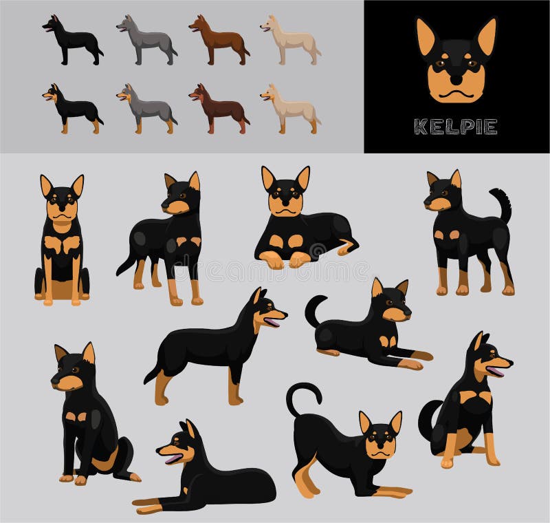 Dog Kelpie Cartoon Vector Illustration Stock Vector - Illustration of ...