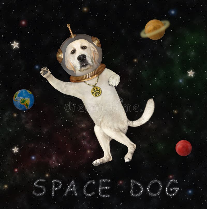 Dog Labrador in Spacesuit in Outer Space 2 Stock Image - Image of ...