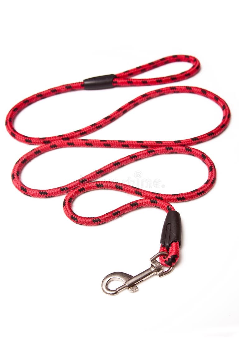 Dog Long Line Leash Stock Photos - Free & Royalty-Free Stock Photos ...