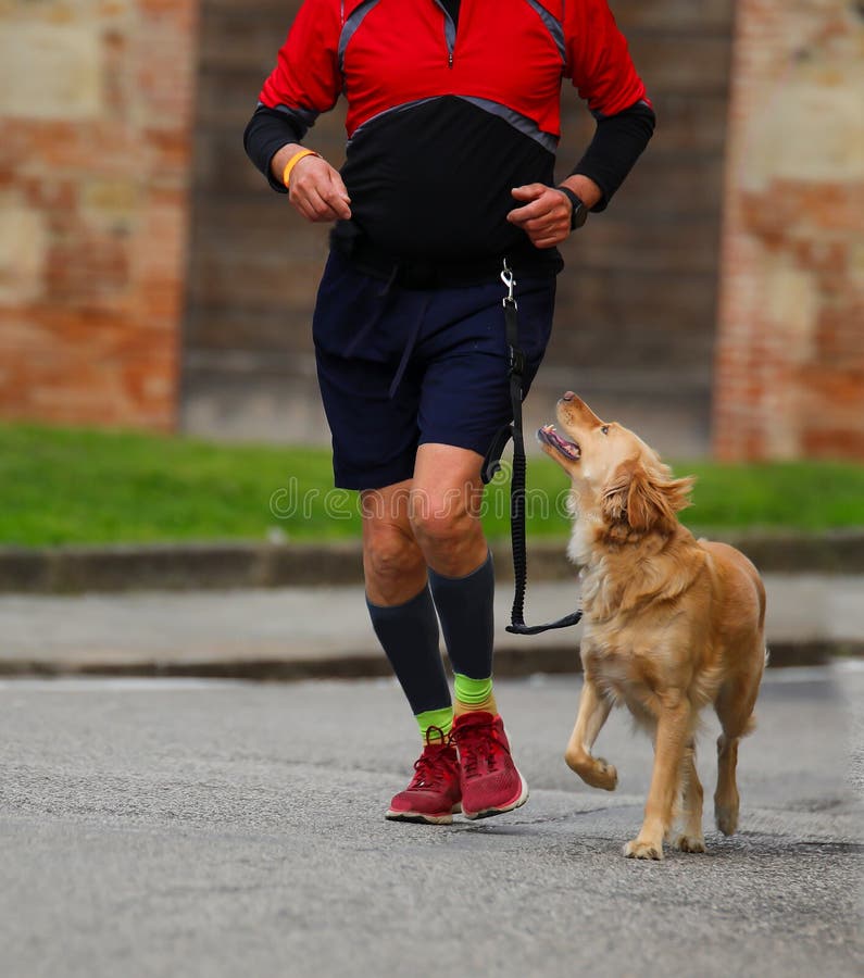 Dog on a Leash that Runs with His Master on the Streets of the City ...