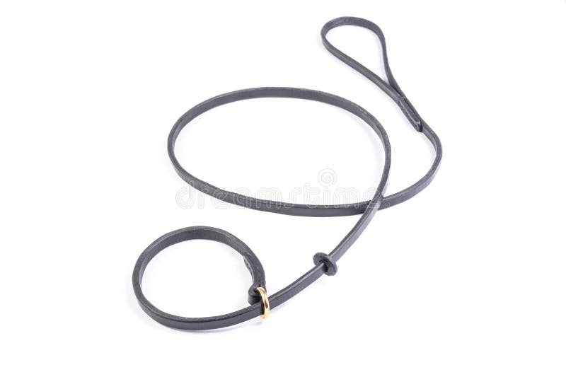 Dog Leash on White Background Stock Photo - Image of white, background ...