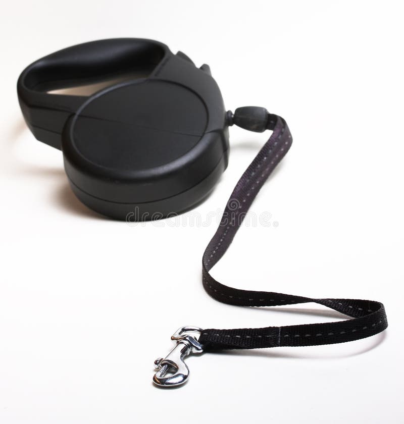 Dog leash2 stock image. Image of friendship, beige, brown - 15975229