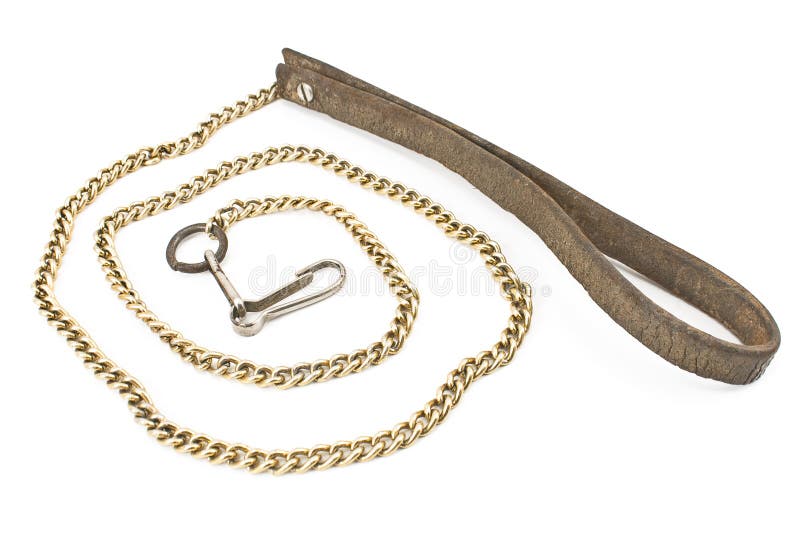 Dog Leather and Chain Leash Stock Image - Image of metal, leash: 29584105