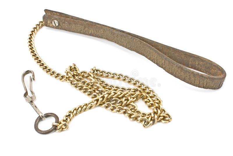 Dog Leather and Chain Leash Stock Photo - Image of brown, belt: 29695296