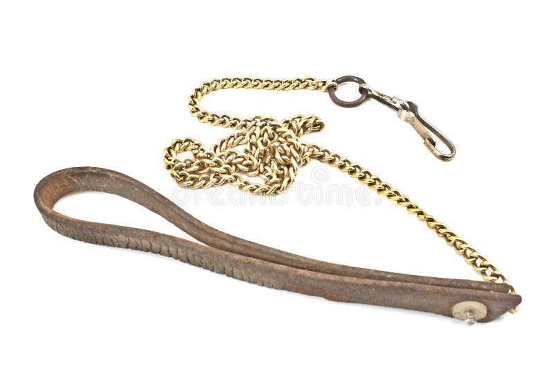 Dog Leather and Chain Leash Stock Photo - Image of puppy, chain: 37943380