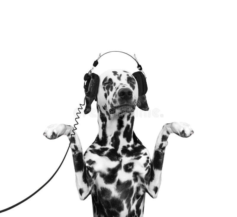 Dog is Listening To the Music and Dancing Stock Photo - Image of ...