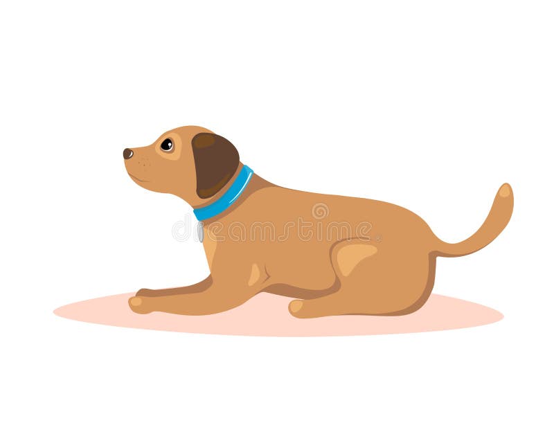 Dog lying. Pose of puppy. stock vector. Illustration of cute - 227554265