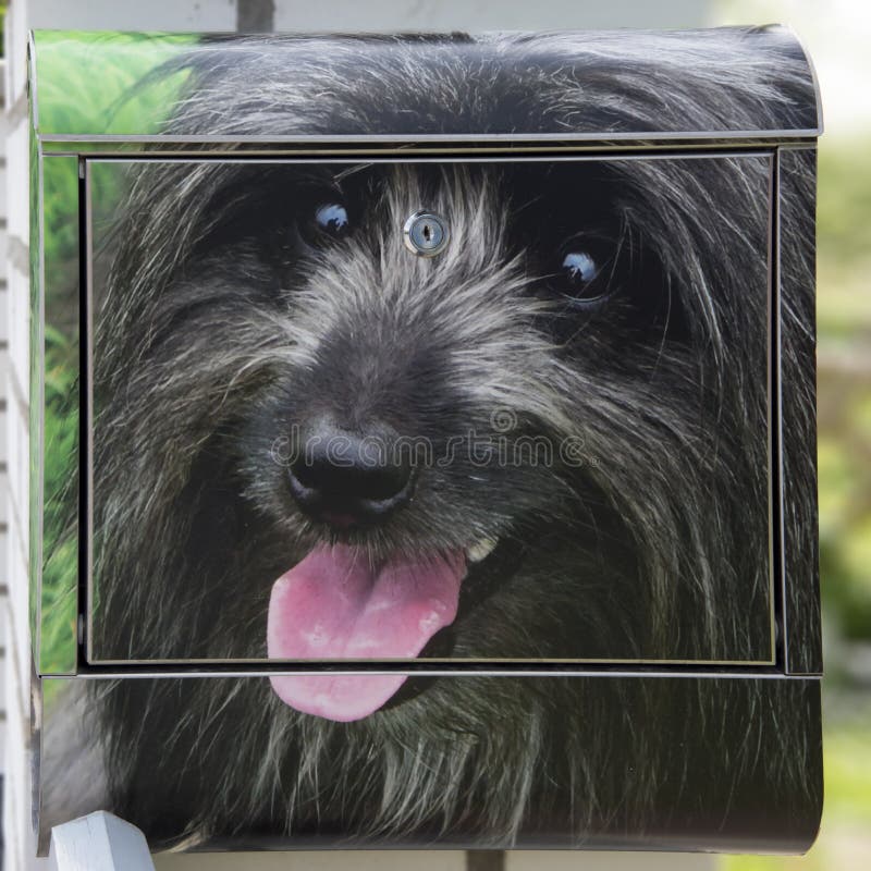Dog on mail box stock image. Image of delivery, mailbox - 53840285