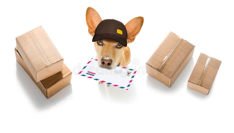 Dog Mail Deliver Postal Post Man Stock Image - Image of cargo, carry ...