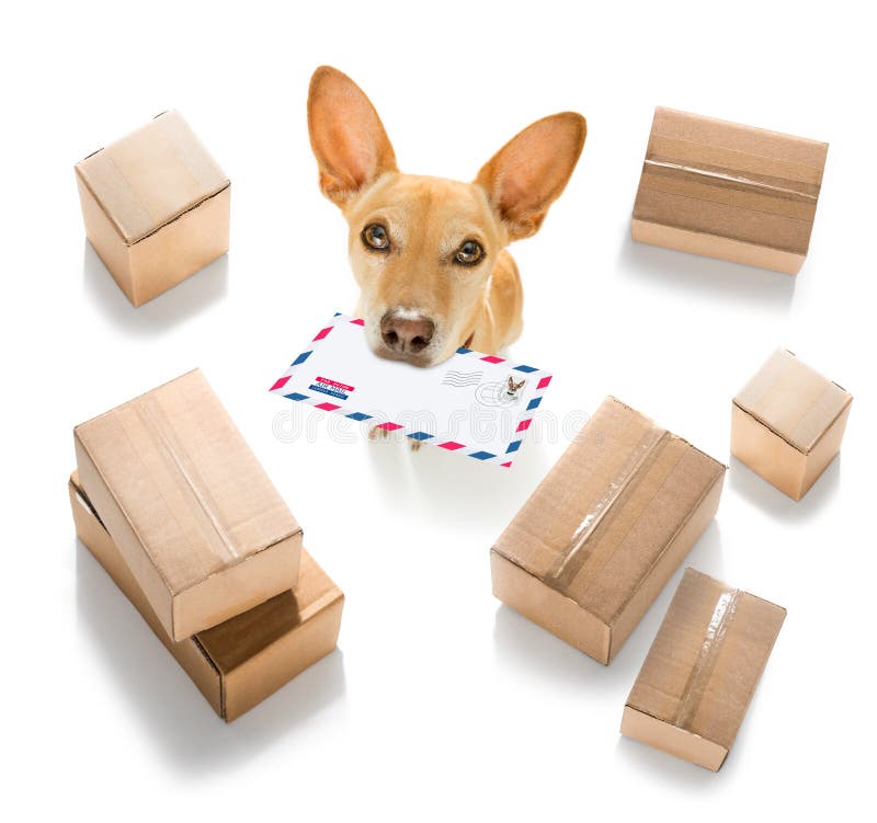 Dog Delivering Mail Stock Photos - Free & Royalty-Free Stock Photos ...