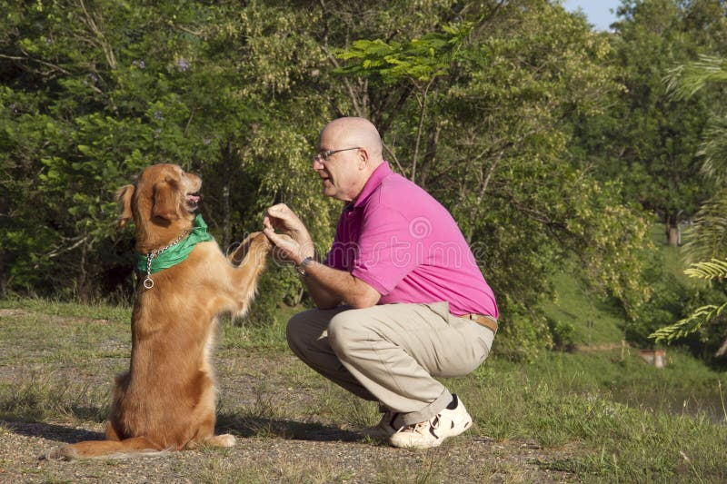 Dog and man friends stock image. Image of active, canine - 28684771