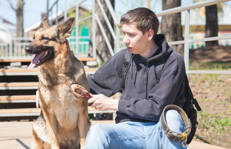 A Dog and a Man, a German Shepherd and a Young Man Walk on a Sunny Day ...