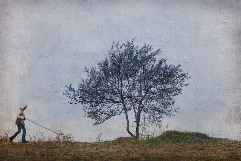 Dog man tree stock photo. Image of enjoyment, forest - 63910028