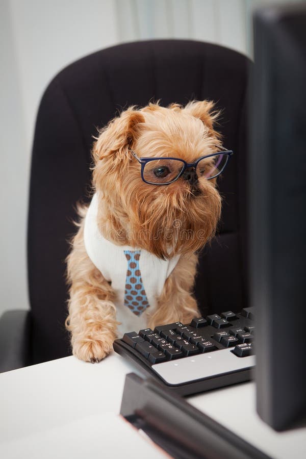 Accountant dog stock image. Image of balance, market - 31335249