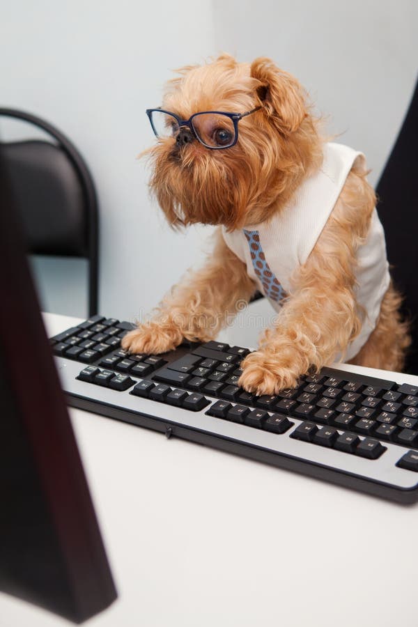 Dog Manager stock photo. Image of occupation, office - 26204626