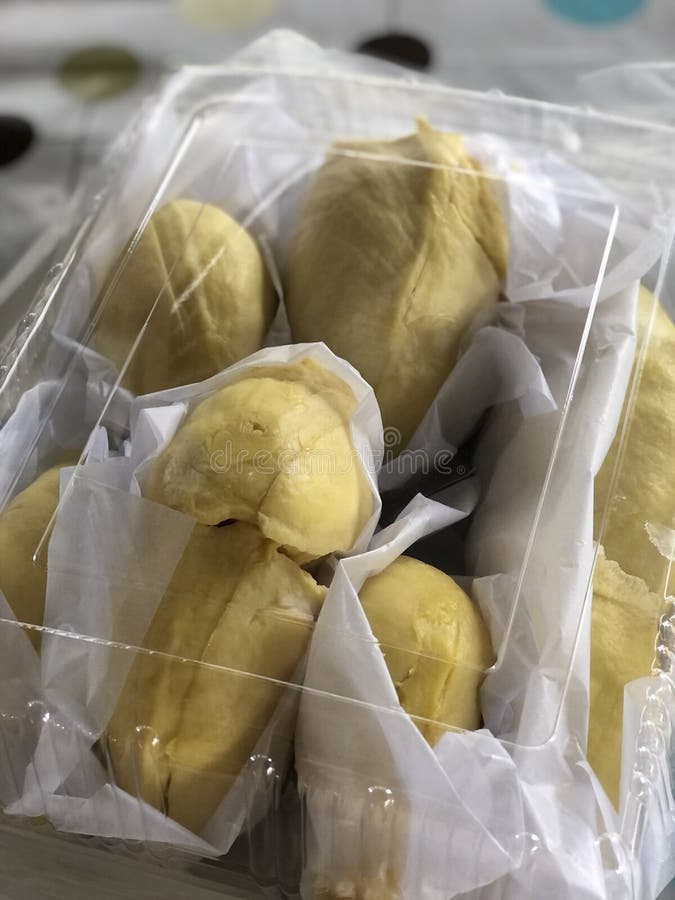 Durians stock photo. Image of durians, yellow, delicious - 221283232