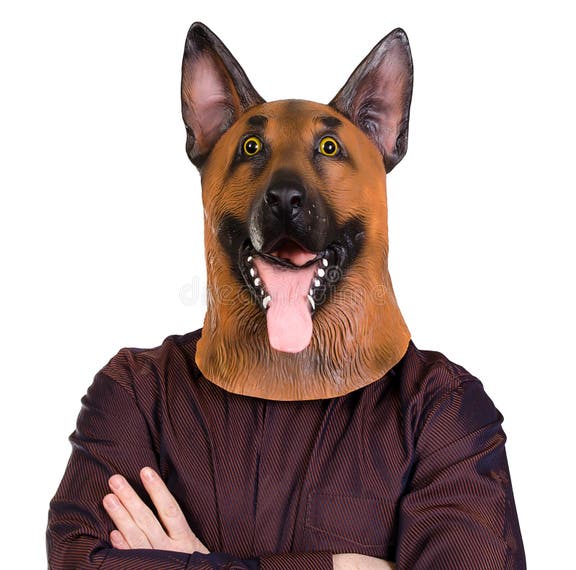Dog Mask Duo: Fun and Whimsy Stock Image - Image of costume, bizarre ...