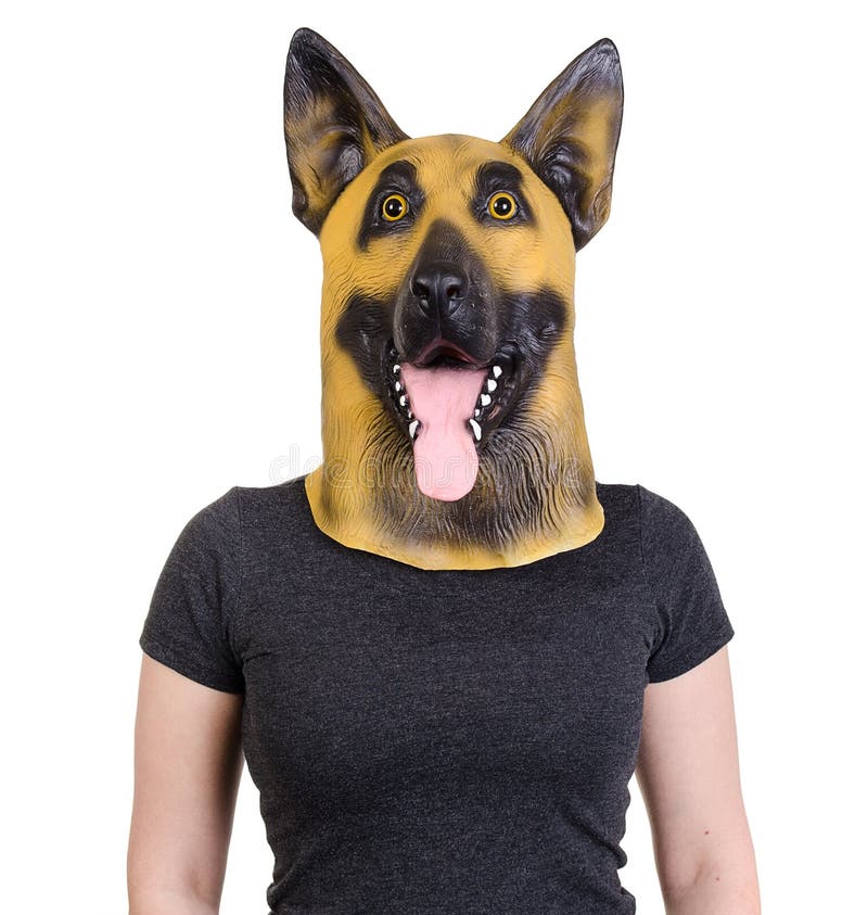 Dog Mask Duo: Fun and Whimsy Stock Image - Image of imagination ...