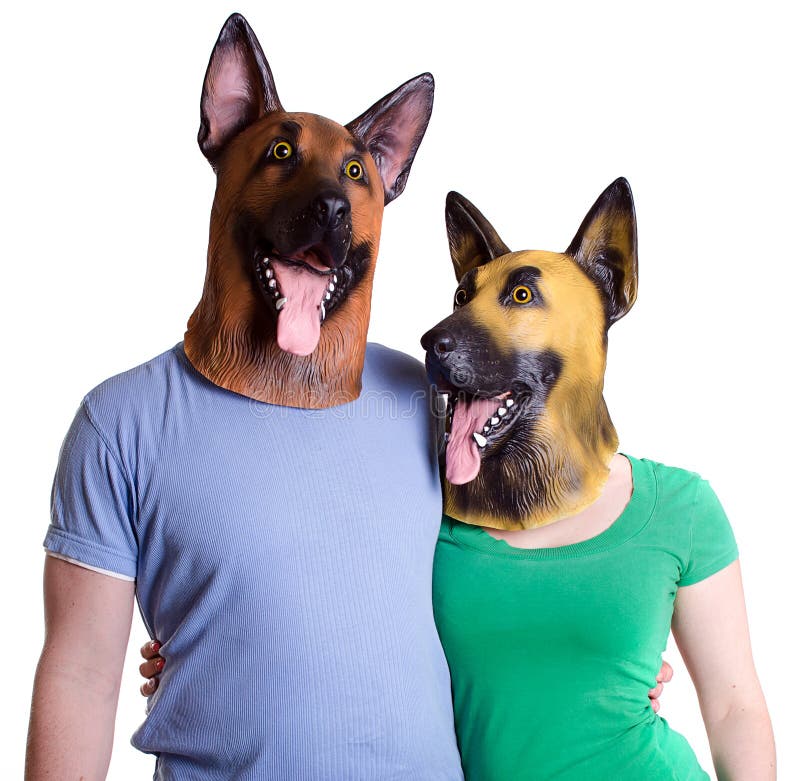 Dog Mask Duo: Fun and Whimsy Stock Photo - Image of imagination ...
