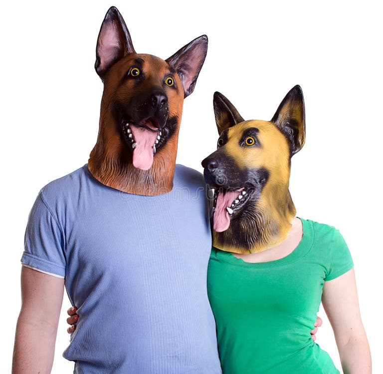 Dog Mask Duo: Fun and Whimsy Stock Photo - Image of imagination, bonding: 354197342