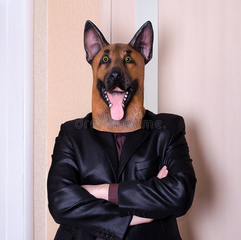 Dog Mask Duo Fun and Whimsy Stock Image - Image of colorful, disguise ...