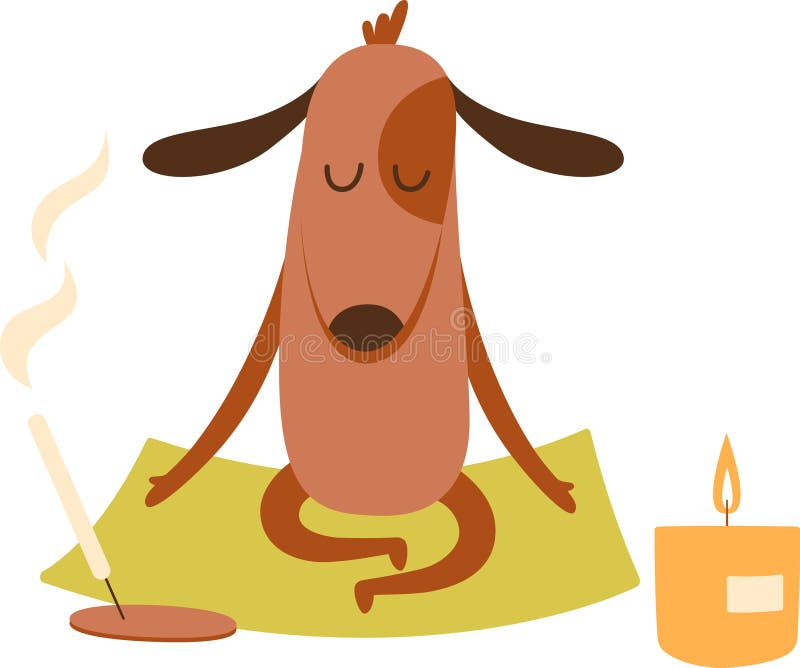 Dog is Meditating stock vector. Illustration of body - 302333859