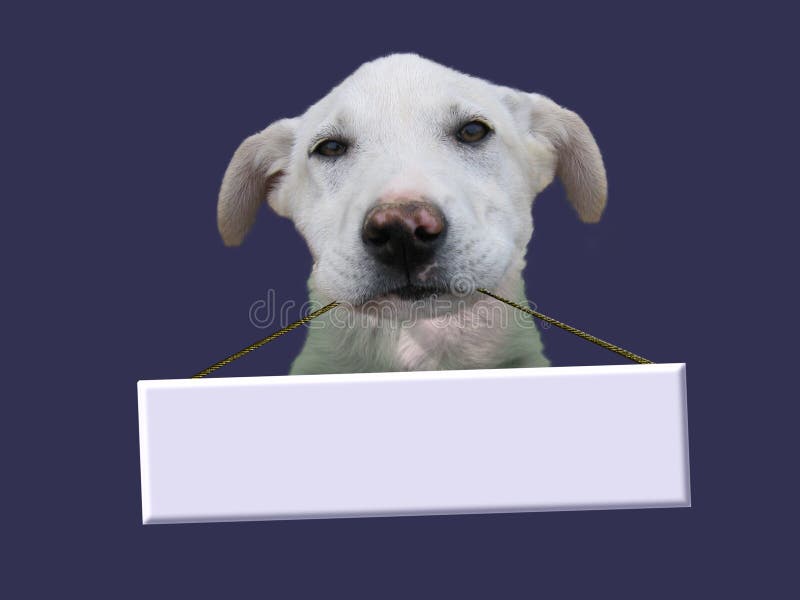 Dog with message stock image. Image of melancholy, listen - 2685151