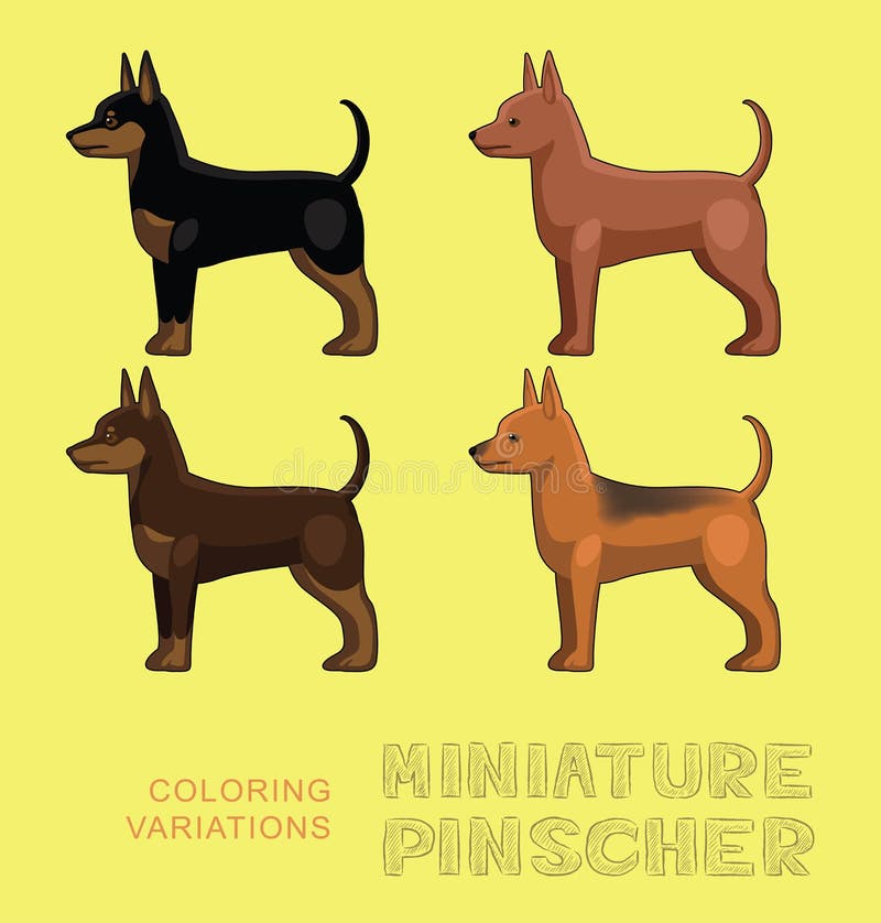 Dog Miniature Pinscher Brown Coat Cartoon Vector Illustration Color ...