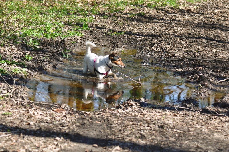 German Mud Bath Stock Photos - Free & Royalty-Free Stock Photos from ...
