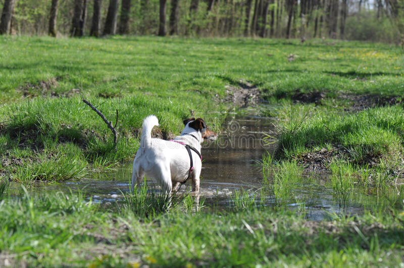 German Mud Bath Stock Photos - Free & Royalty-Free Stock Photos from ...