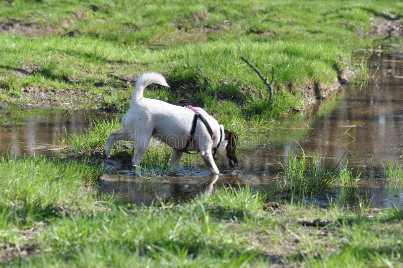 German Mud Bath Stock Photos - Free & Royalty-Free Stock Photos from ...