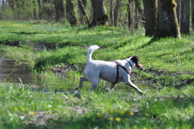 German Mud Bath Stock Photos - Free & Royalty-Free Stock Photos from ...