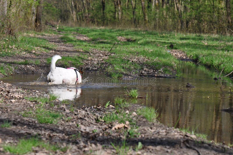 German Mud Bath Stock Photos - Free & Royalty-Free Stock Photos from ...