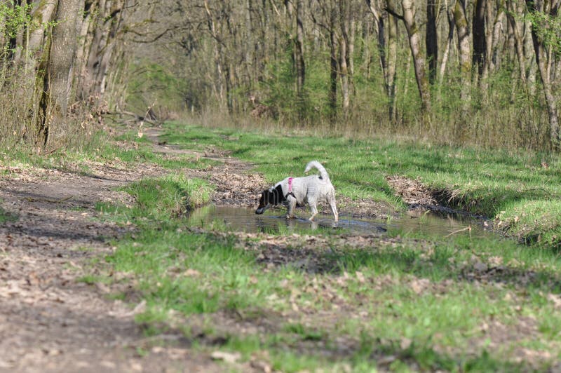 German Mud Bath Stock Photos - Free & Royalty-Free Stock Photos from ...