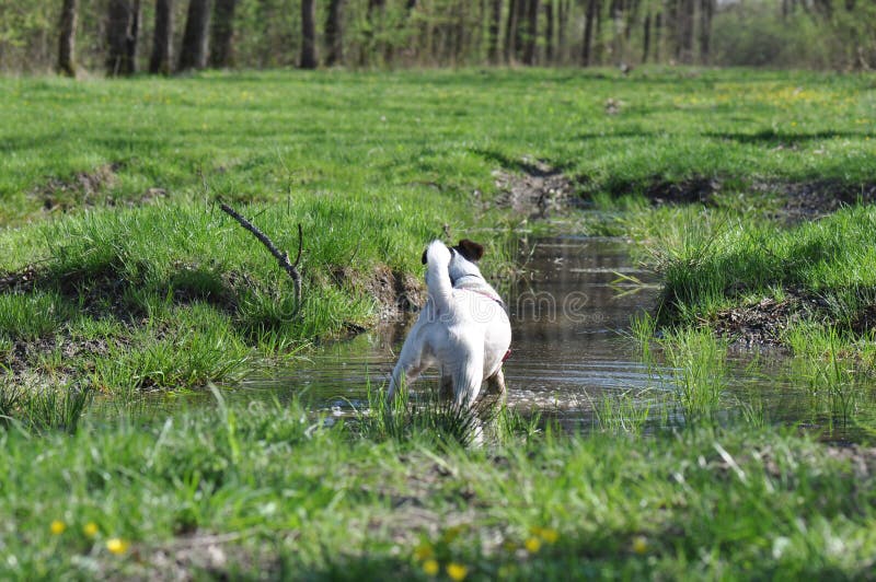 German Mud Bath Stock Photos - Free & Royalty-Free Stock Photos from ...