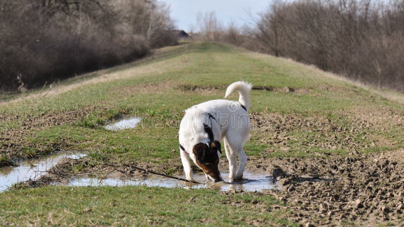 German Mud Bath Stock Photos - Free & Royalty-Free Stock Photos from ...