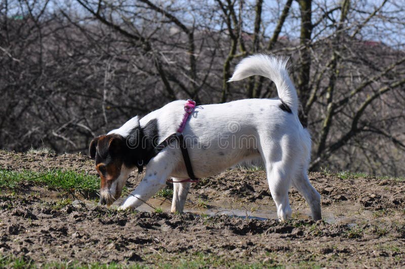 German Mud Bath Stock Photos - Free & Royalty-Free Stock Photos from ...
