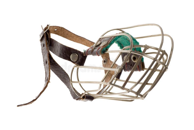 Dog Muzzle On White Background Picture. Image: 8424877