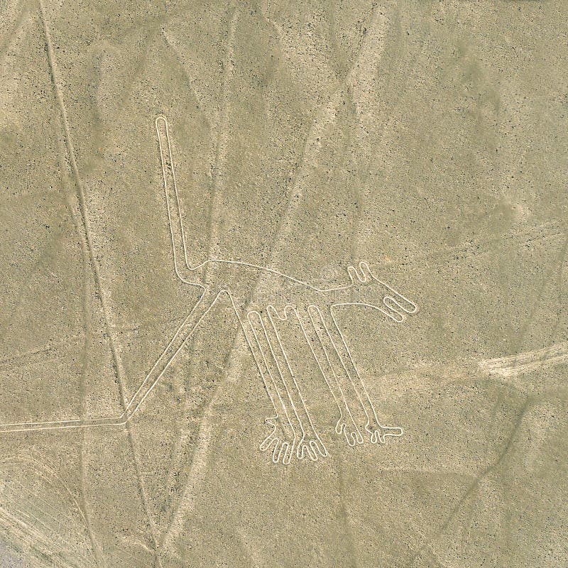 The Dog, Nazca Lines, Peru stock image. Image of civilization - 154027493