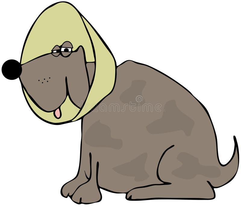 Dog with a neck cone stock illustration. Illustration of animal - 31857611