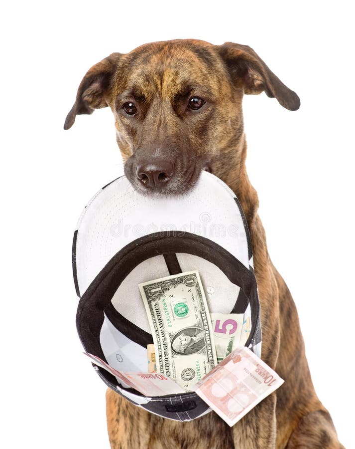 Needing Help stock image. Image of health, concept, bully - 20688709