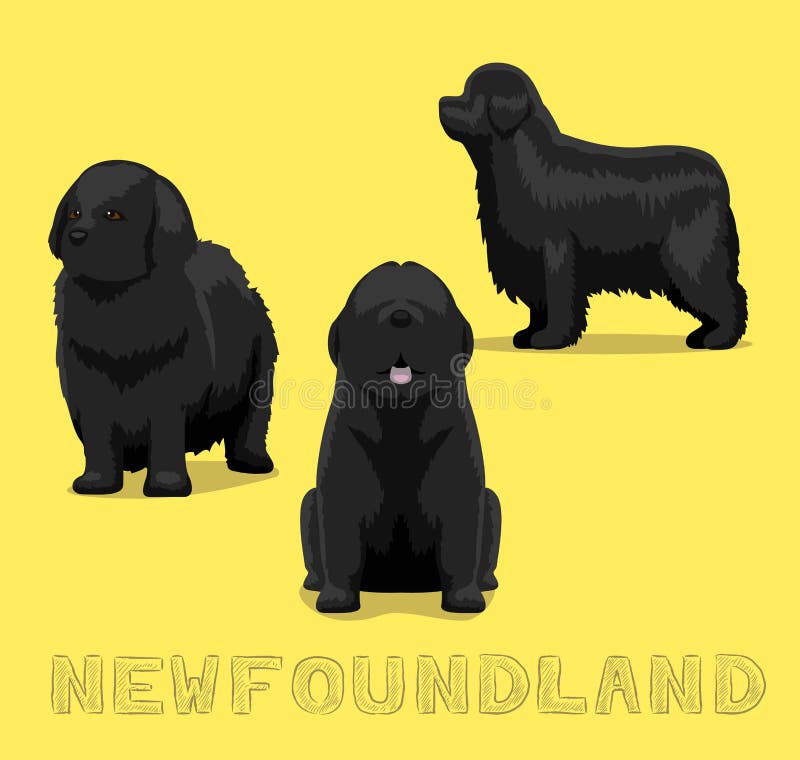 Newfoundland Dog Cartoon Illustration Stock Vector - Illustration of ...
