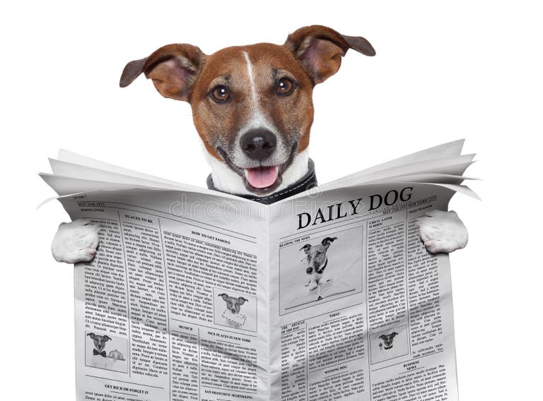 Dog newspaper stock image. Image of doggy, document, hold - 27754547